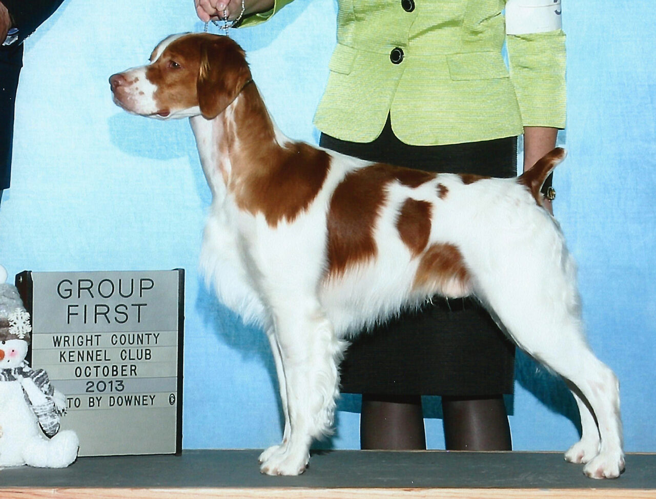 Dual CH & Champions – Sovereign Brittany | Welcome to the ...